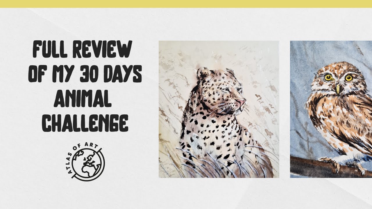 Full review of my 30 days animal art challenge - YouTube