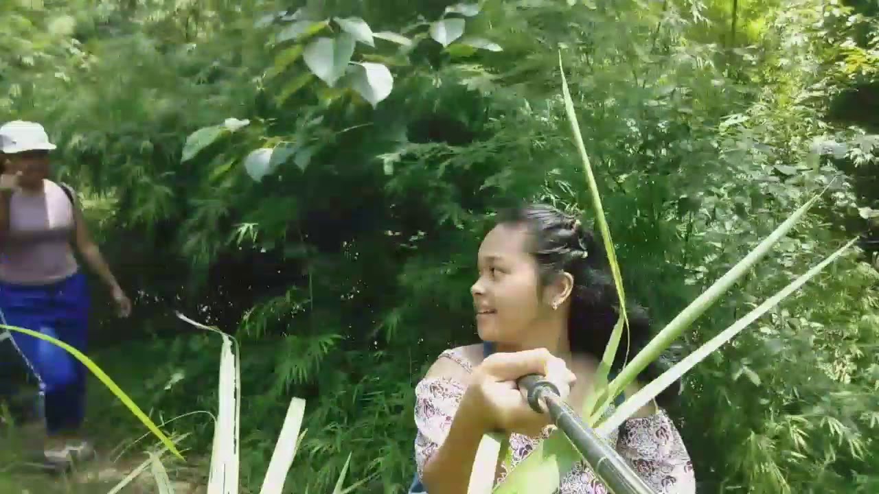 Trip to the hidden waterfalls in sta.Cruz kapatagan lanao del norte## ...