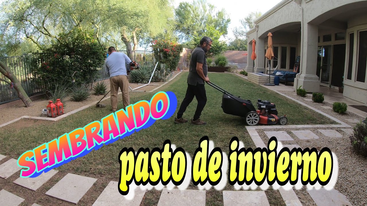 sembrando pasto de invierno - YouTube