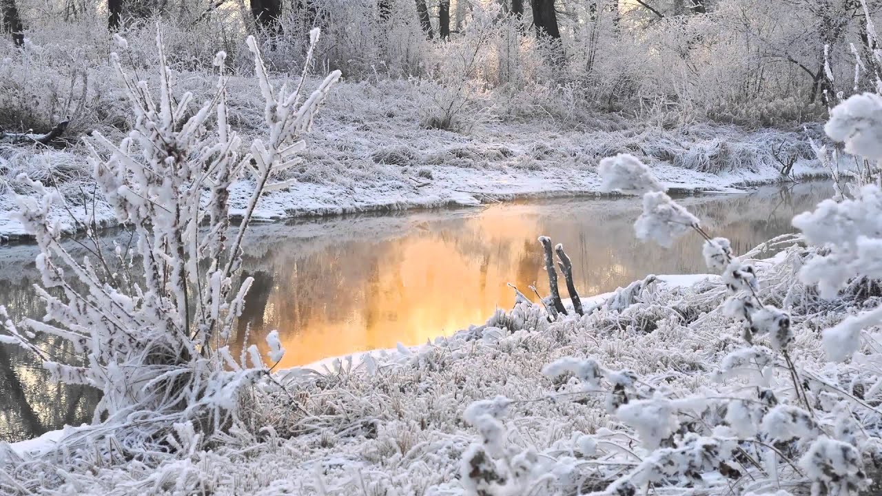 The King James Bible - Genesis - Chapter 42 - Joseph accuses his ...