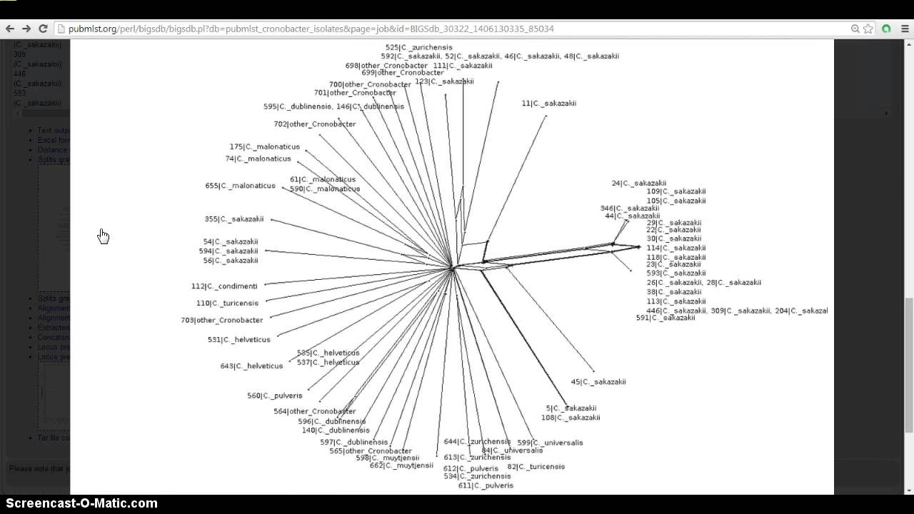 Cronobacter PubMLST Part 3 - YouTube