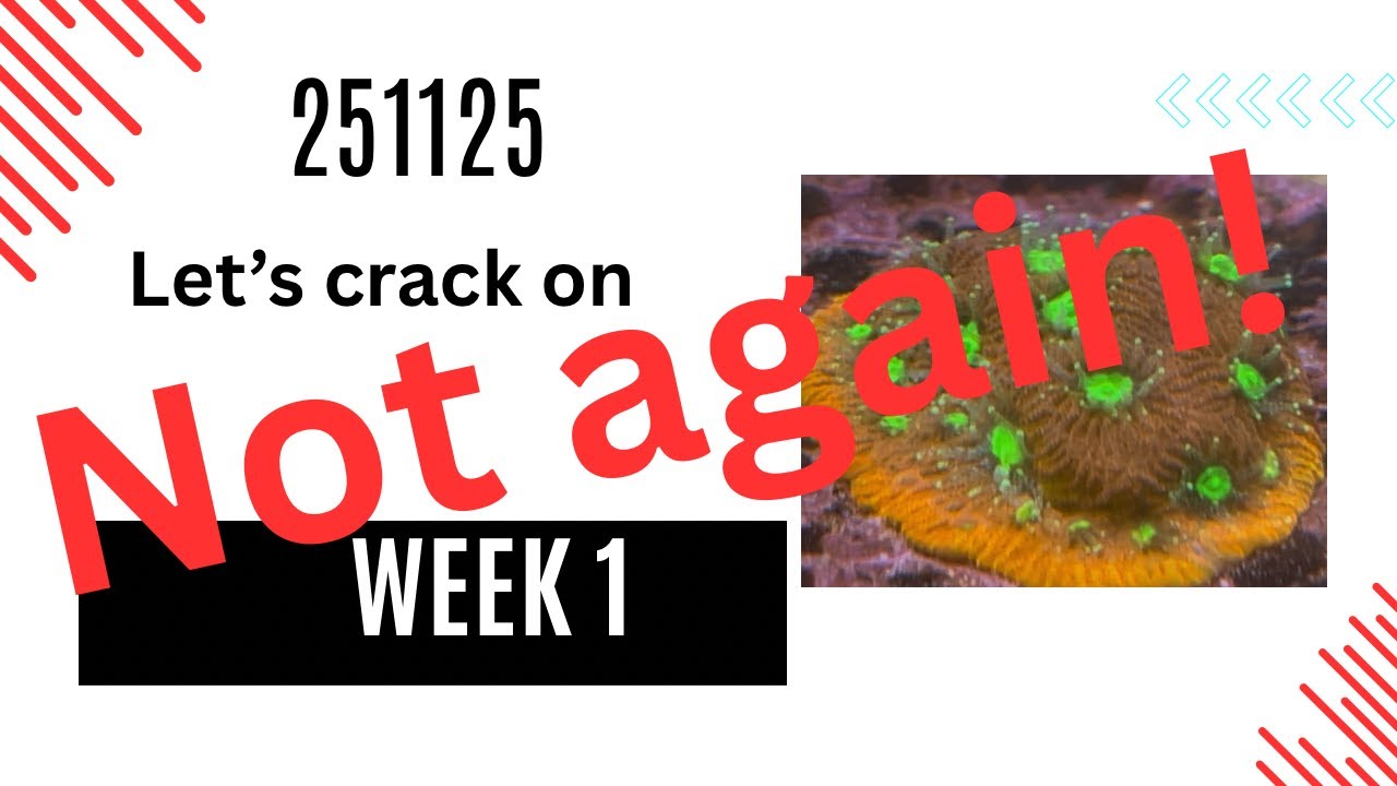 Day 1 week 1. OMG never did I imagine this. - YouTube