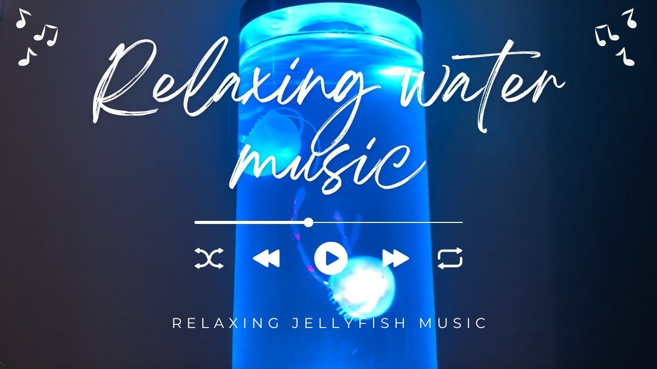 2 Hour Relaxing Sounds Jellyfish In Water With Music - YouTube