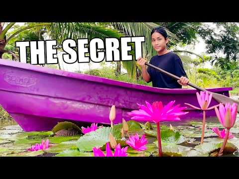 My #1 SECRET to a LOTUS Pond | Farm Secrets with X