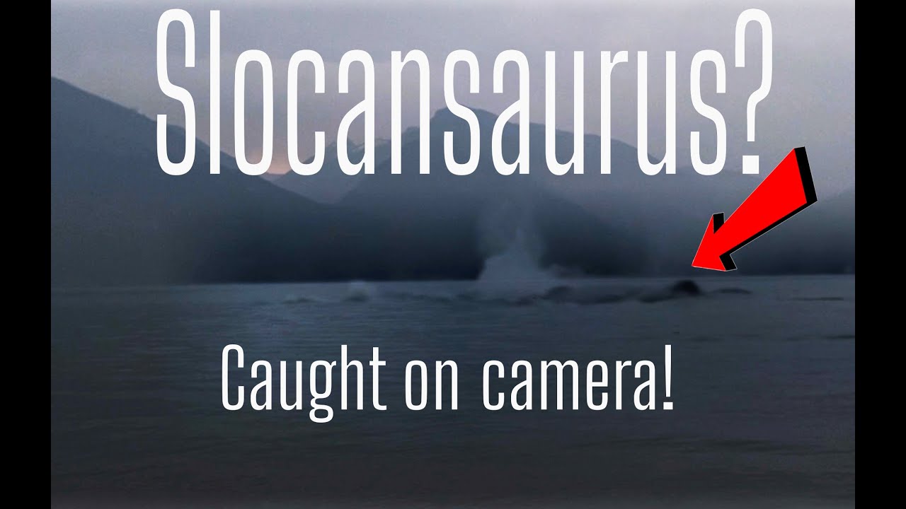 Lake Monster - Slocansaurus caught on camera! (real) - YouTube