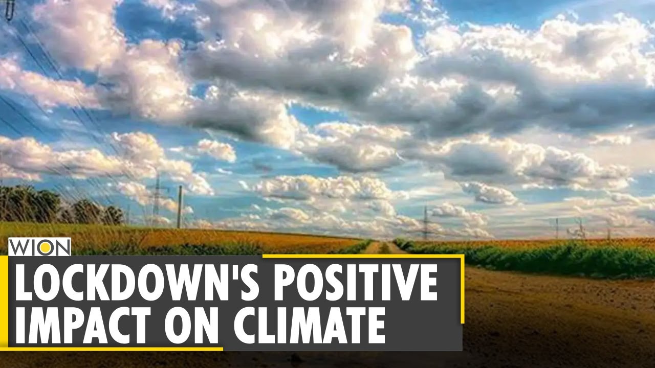 COVID-19 lockdown's positive impact on environment | World News | WION ...