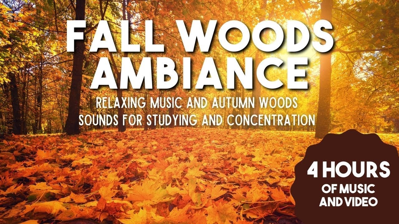 Fall Woods Ambiance Music for Study and Focus | Pumpkin Spice Ambiance ...
