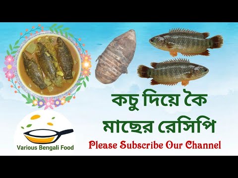 কচু দিয়ে কৈ মাছ রেসিপি/ Koi fish recipe with kachu - YouTube