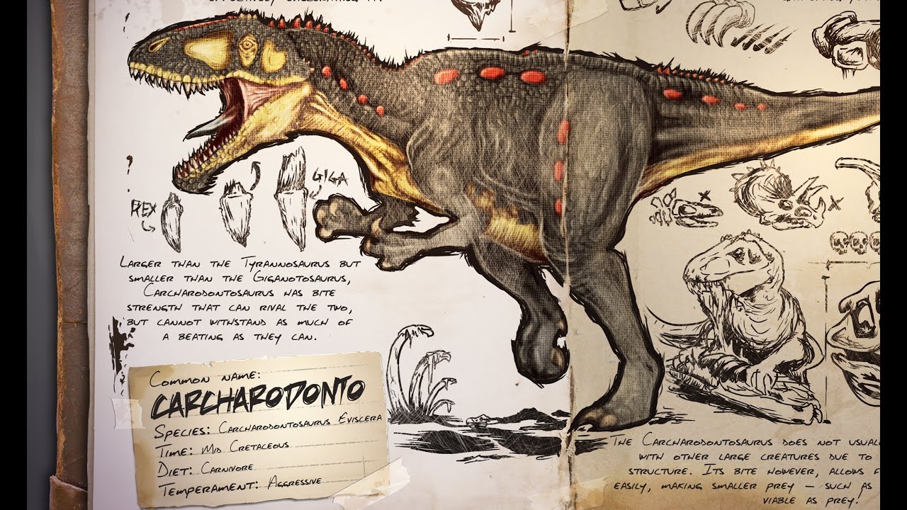 Carcharo First Look - YouTube