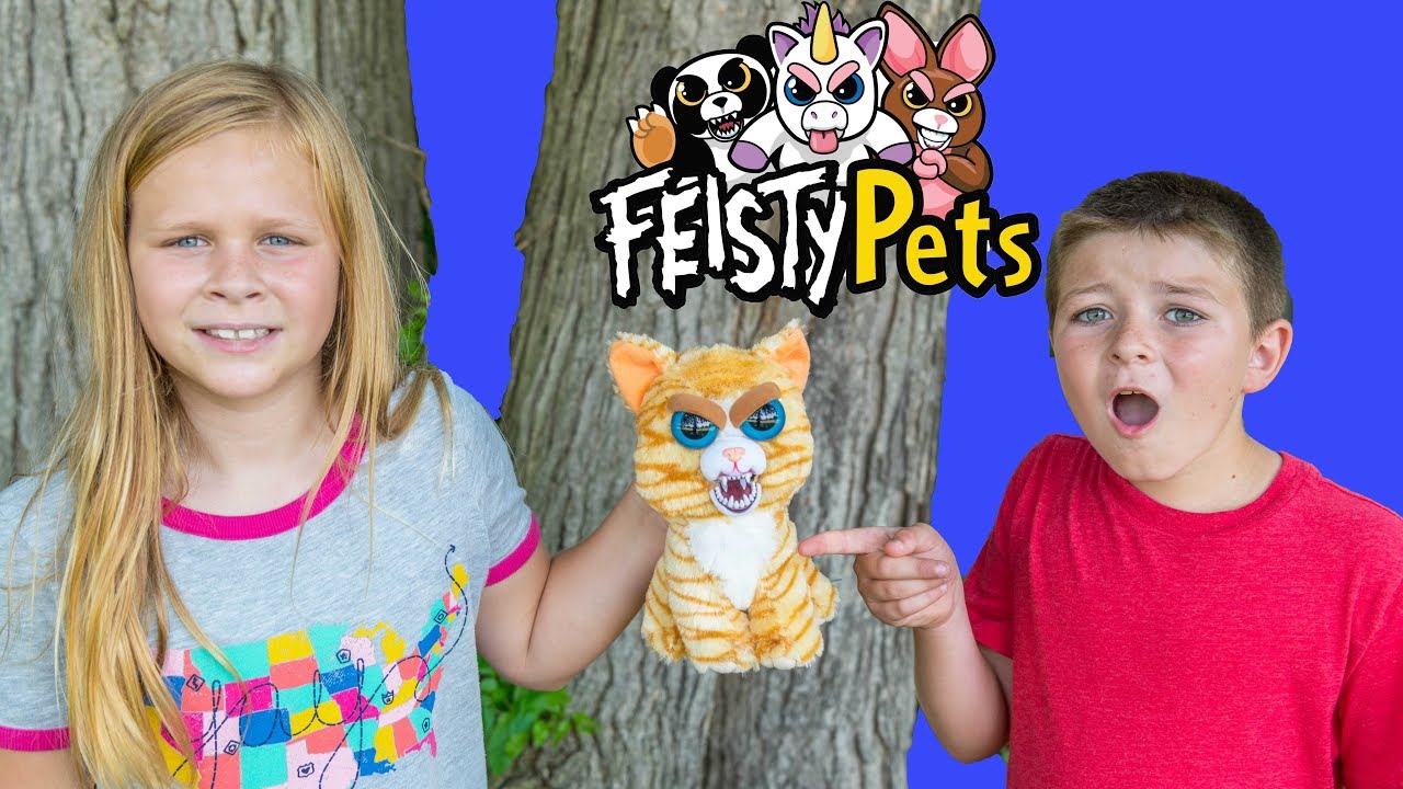 The Assistant and Batboy Hunt for Fiesty Pets with Officer Smalls and ...