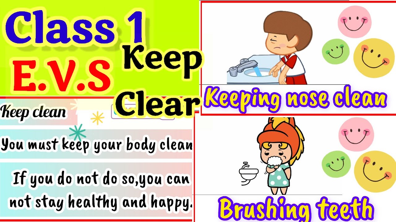 Cleanliness/Keeping Our Body Clean/Keeping Clean/Class 1 EVS/CBSE ...