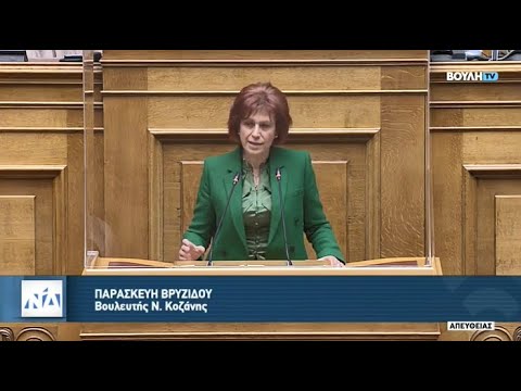 Ομιλία Π.Βρυζίδου στο ν/σ του Υπ. Εσωτερικών «Πολυεπίπεδη διακυβέρνηση ...