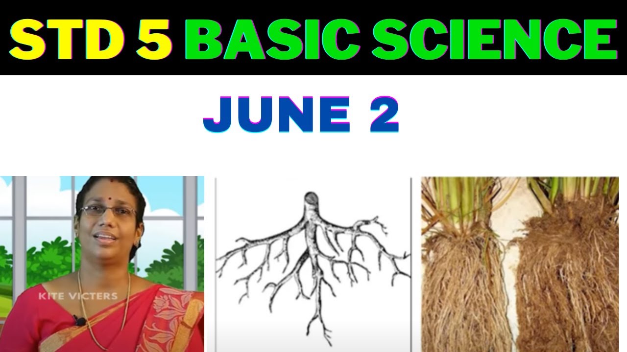 VICTERS STD 5| BASIC SCIENCE| 02 JUNE 2021|CLASS 01 - YouTube
