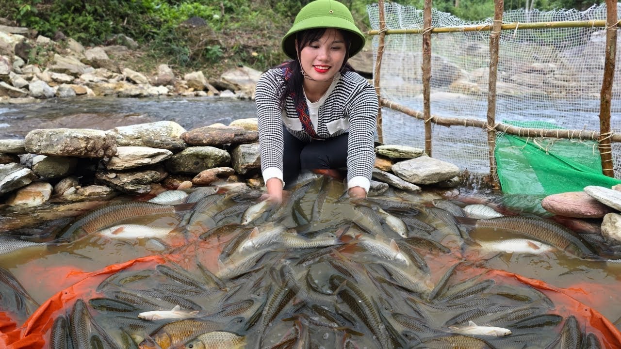 Set giant traps to catch giant mutant carp in the river | Em Tên Toan ...