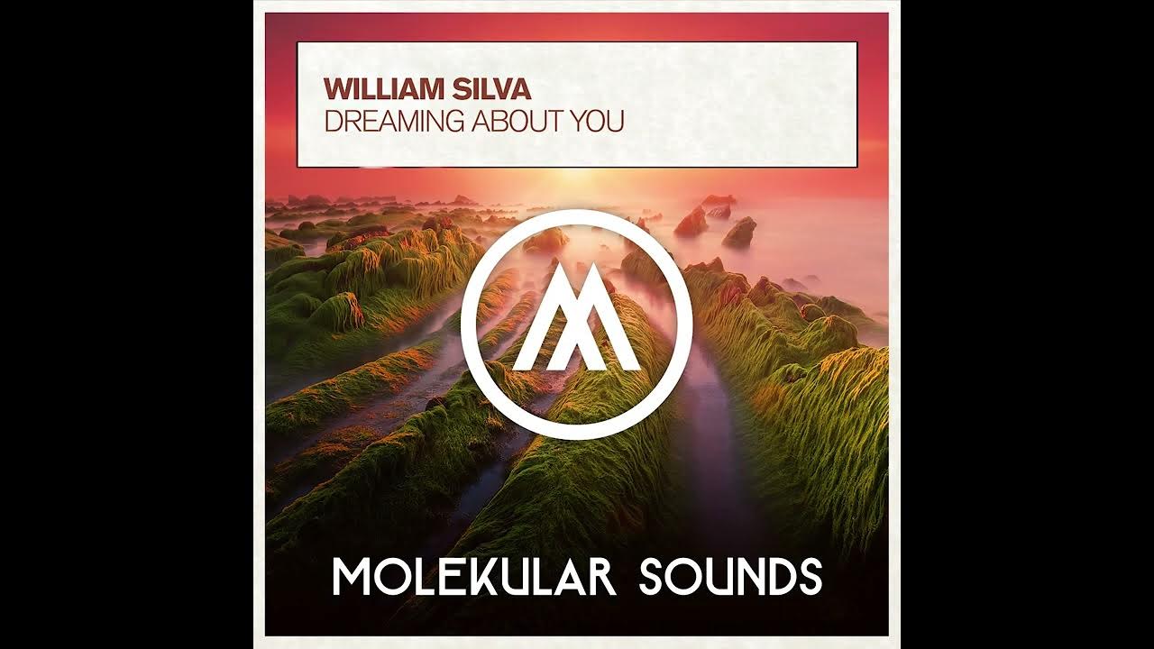 William Silva - Dreaming About You [Molekular Sounds] [MOLSO162] - YouTube