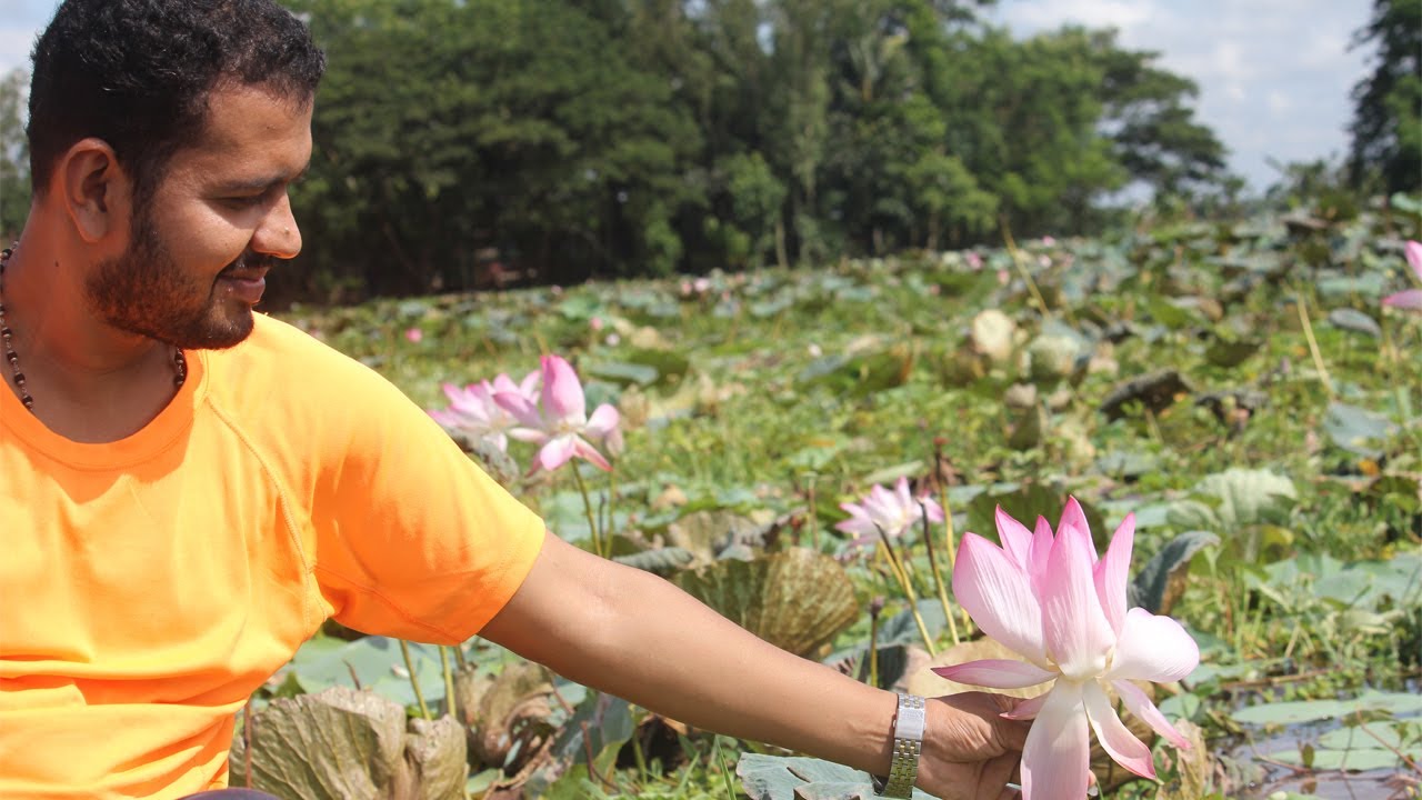 Poddo Bil,Gopaganj.পদ্ম বিল, গোপালগঞ্জ। - YouTube