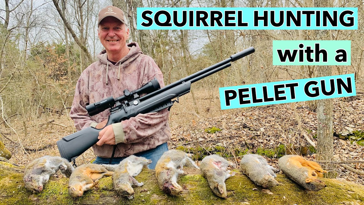SQUIRREL HUNTING with a pellet gun/slo-mo scope-cam pest control - YouTube