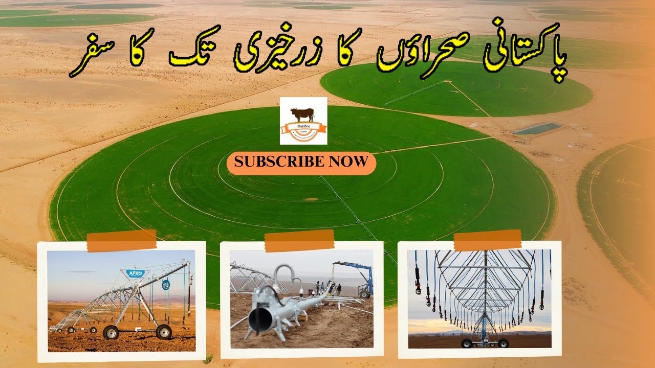 Turning Pakistani Desert Green | Successful Installation of Central Pivot System at DayZee Farms ...