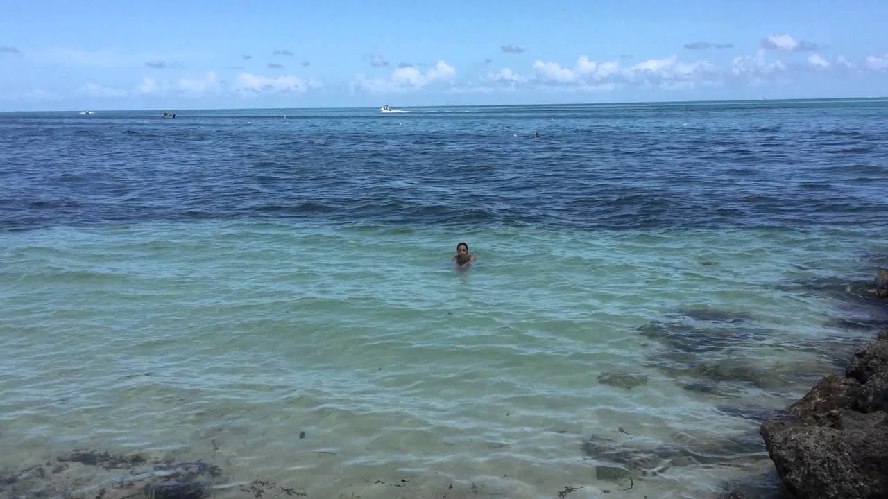 Mermaid Sighting - YouTube