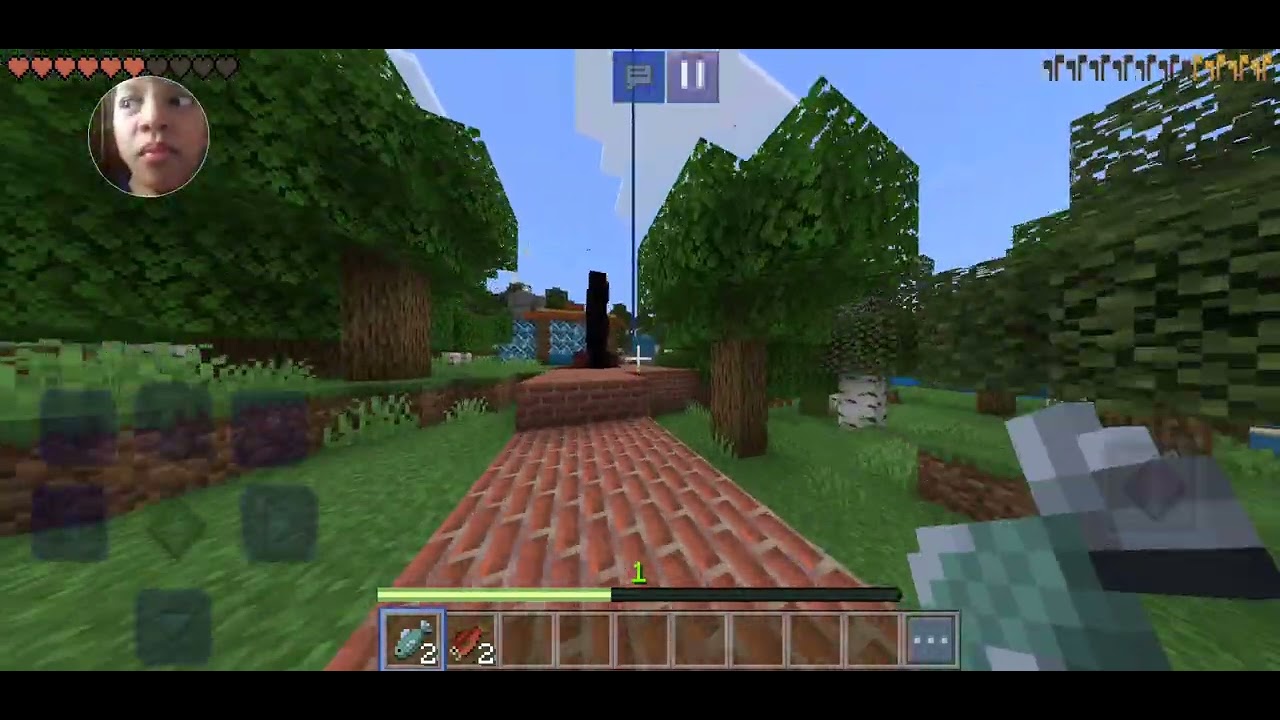 showing my new another place in minecraft - YouTube