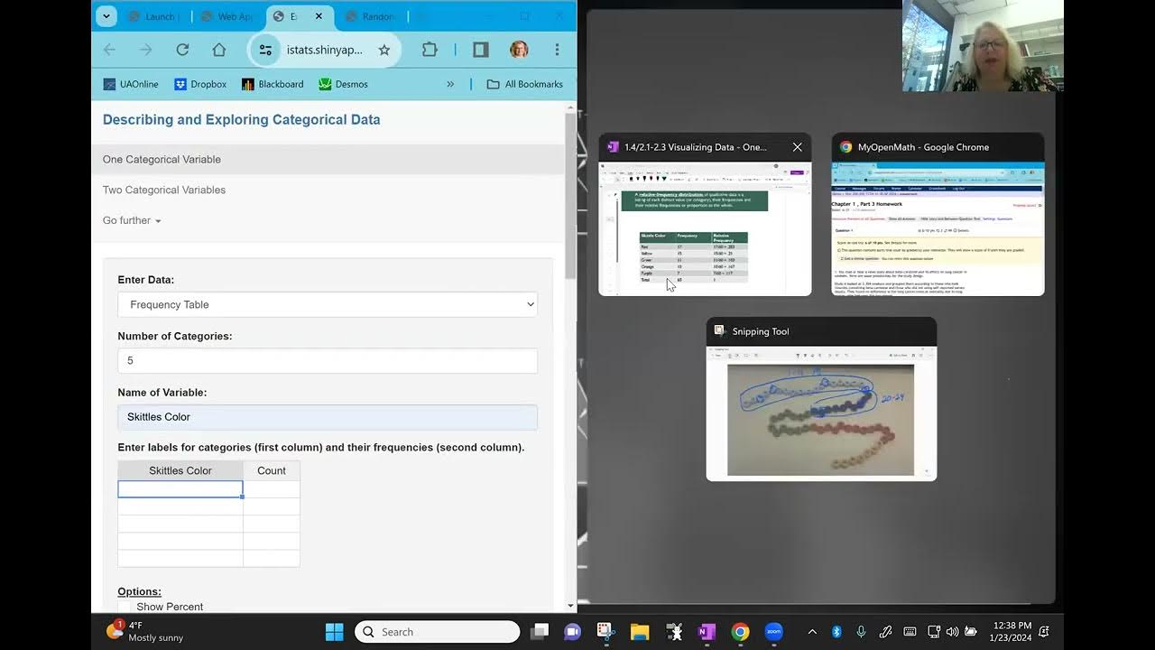 Visualizing Categorical Data Using WebApps - YouTube