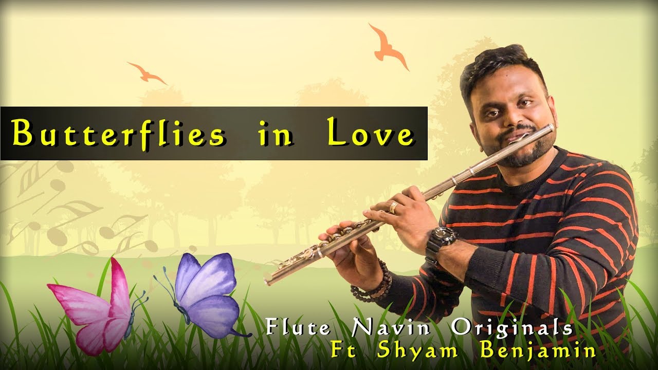 Butterflies in Love | Flute Navin Originals | Ft Shyam Benjamin ...