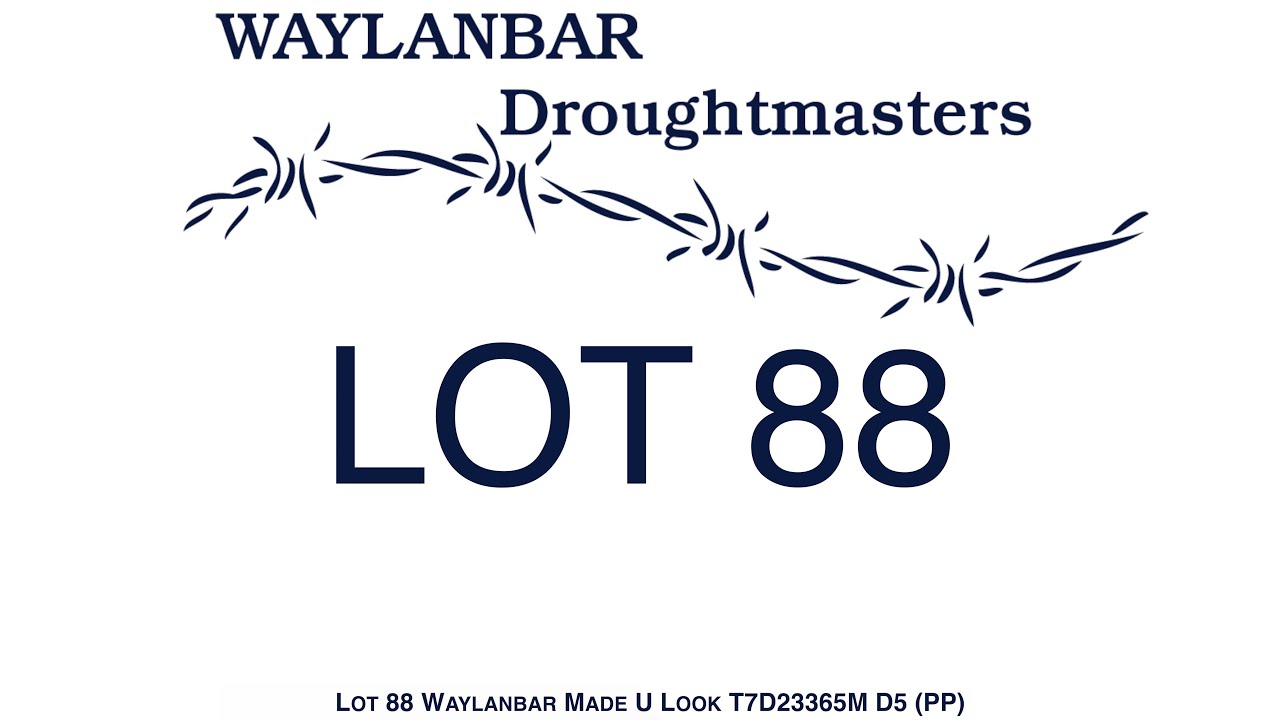 Lot 88 Waylanbar Made U Look T7D23365M D5 (PP) - YouTube