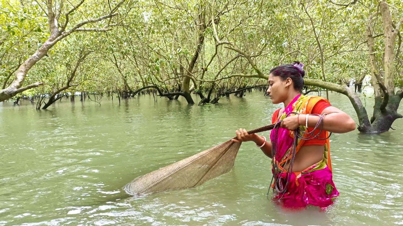 Sundarban river net fishing | Beautiful smart girl catching fish With A ...