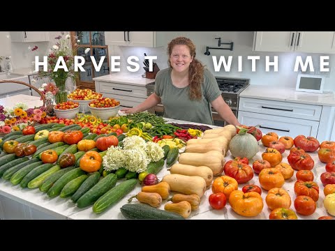 HUGE Garden Harvest!