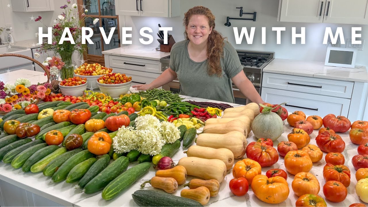 HUGE Garden Harvest! - YouTube
