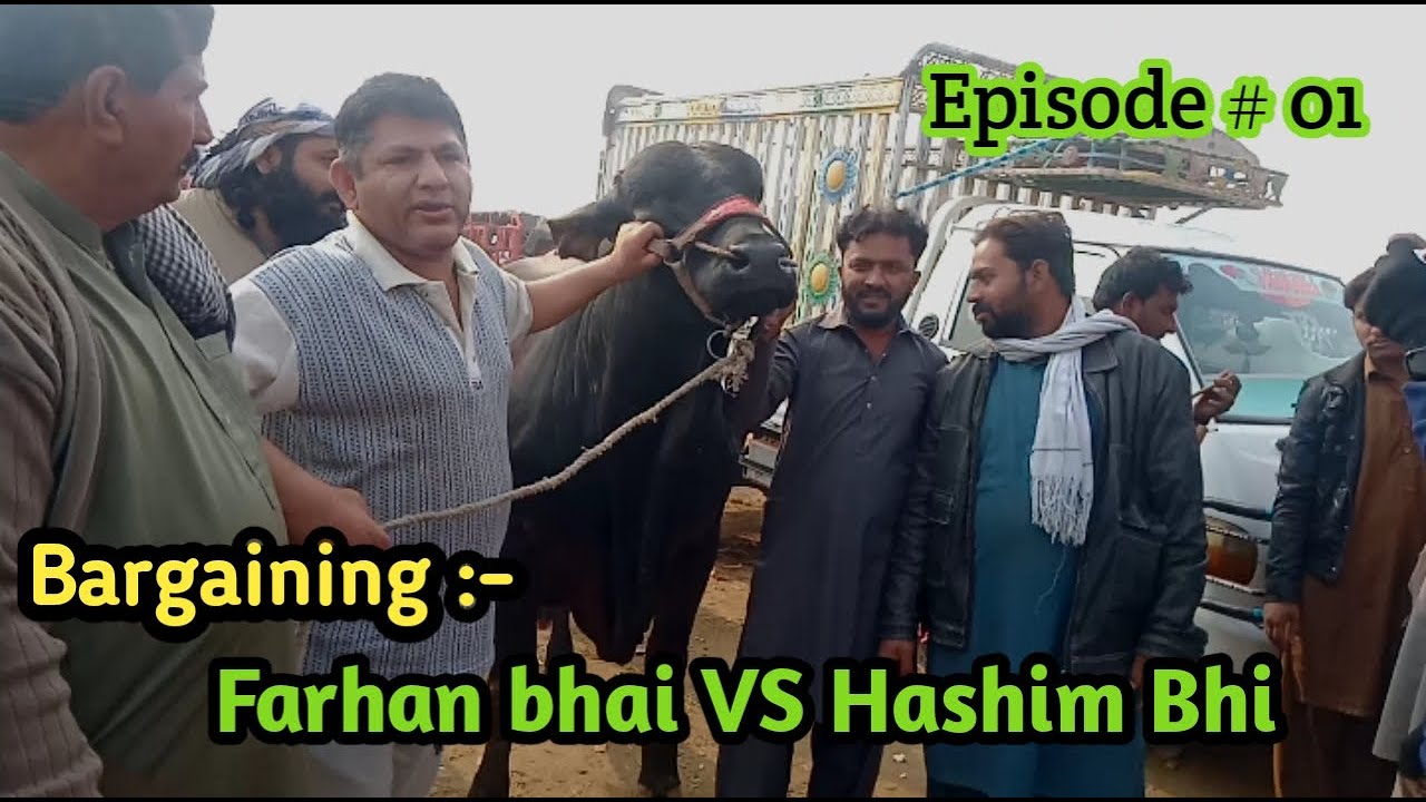 Karachi Boss Cattle farm K Owner Farhan Bhi VS Hashim Bhi ki Bargaining ...