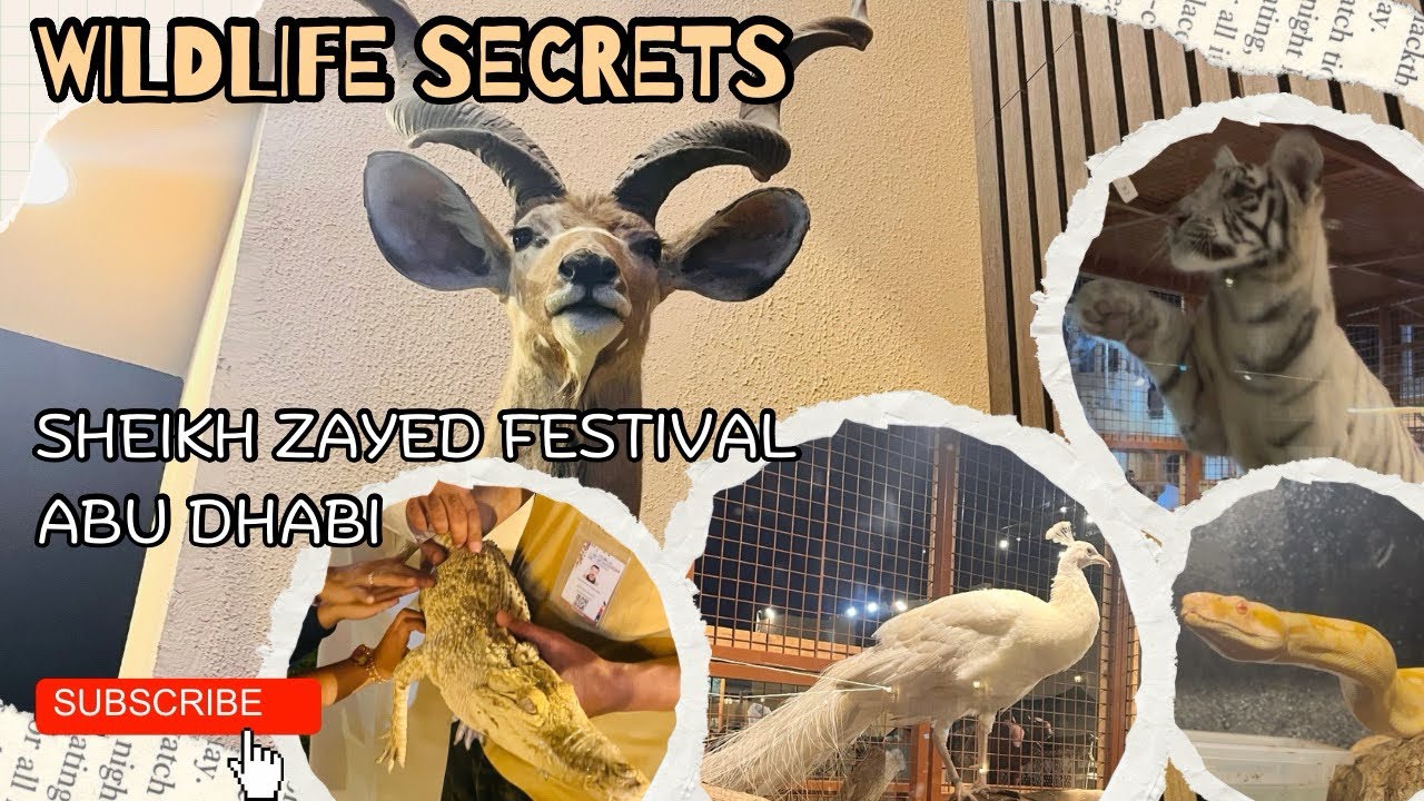 Wildlife Secrets| Sheikh Zayed Festival| Abu Dhabi | Wild Animals - YouTube