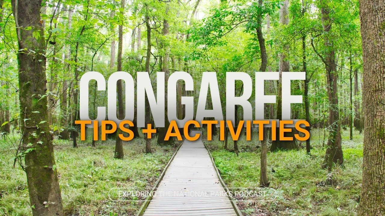 130: Exploring Congaree National Park: Best Tips + Activities - YouTube