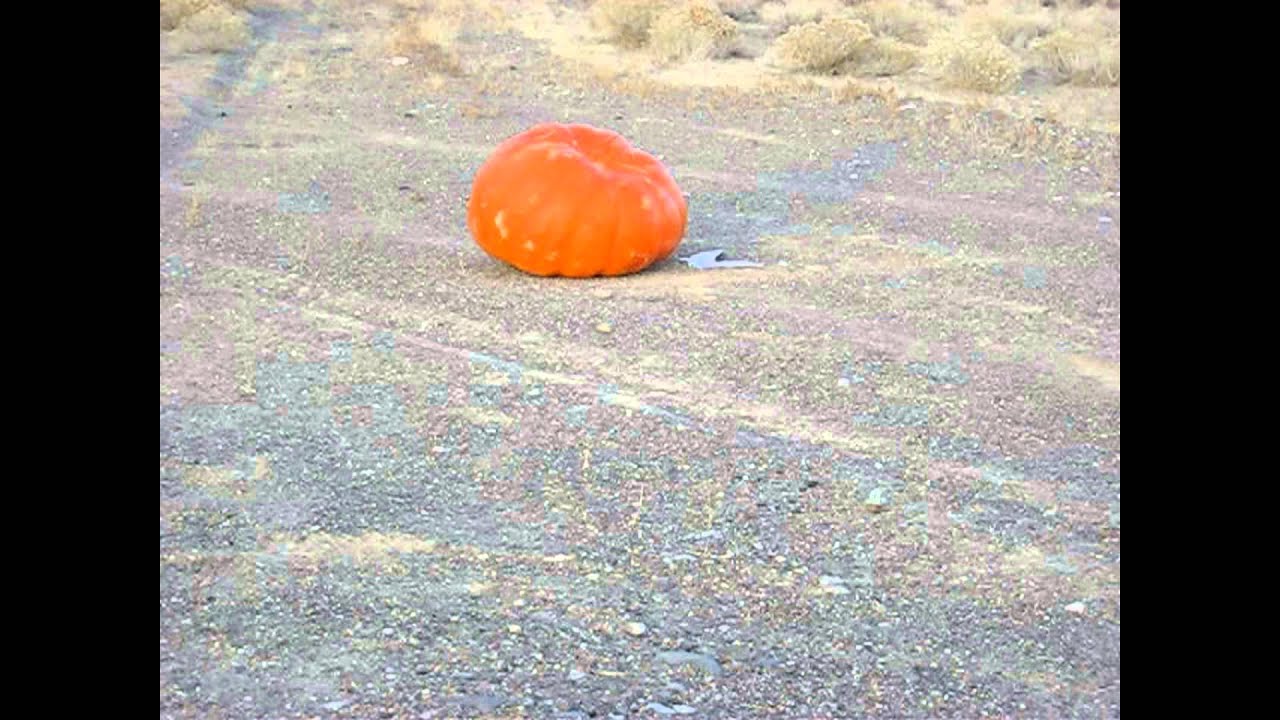 Blowing Up Big Pumpkin With Tannerite - YouTube