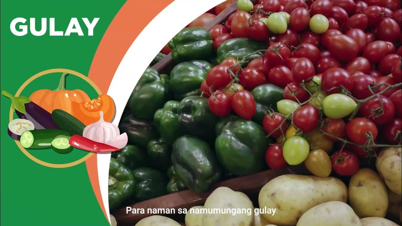 GULAY: PAANO GAMITIN ANG ADABOOST SA GULAY AT IBANG TANIM? - YouTube