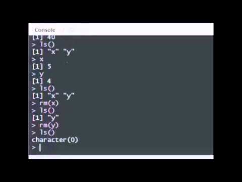 Introduction to R Programming: Variables (R Tutorial 2) - YouTube