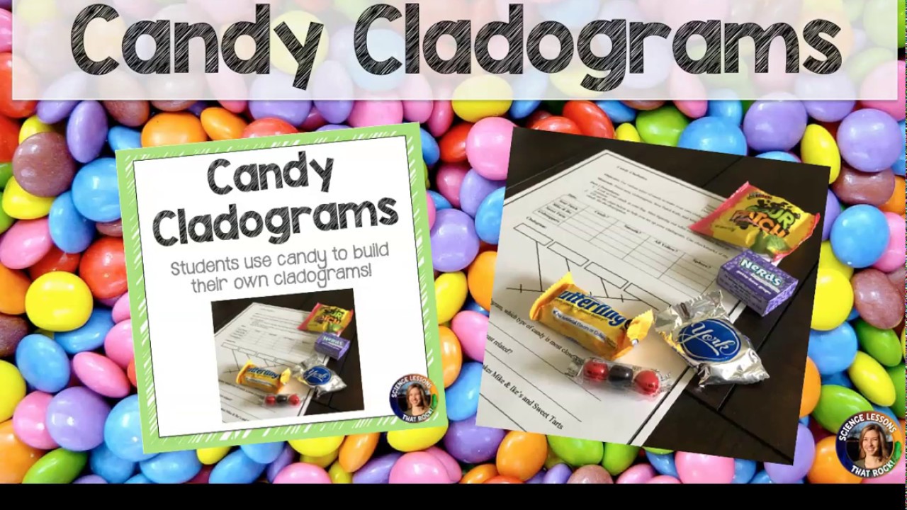 Candy cladograms - YouTube