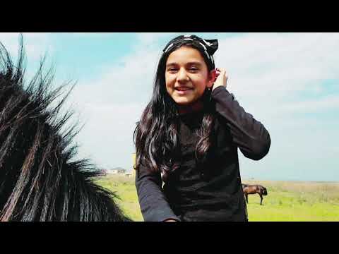 Gülay Fərzəliyeva-  horse entertainment.