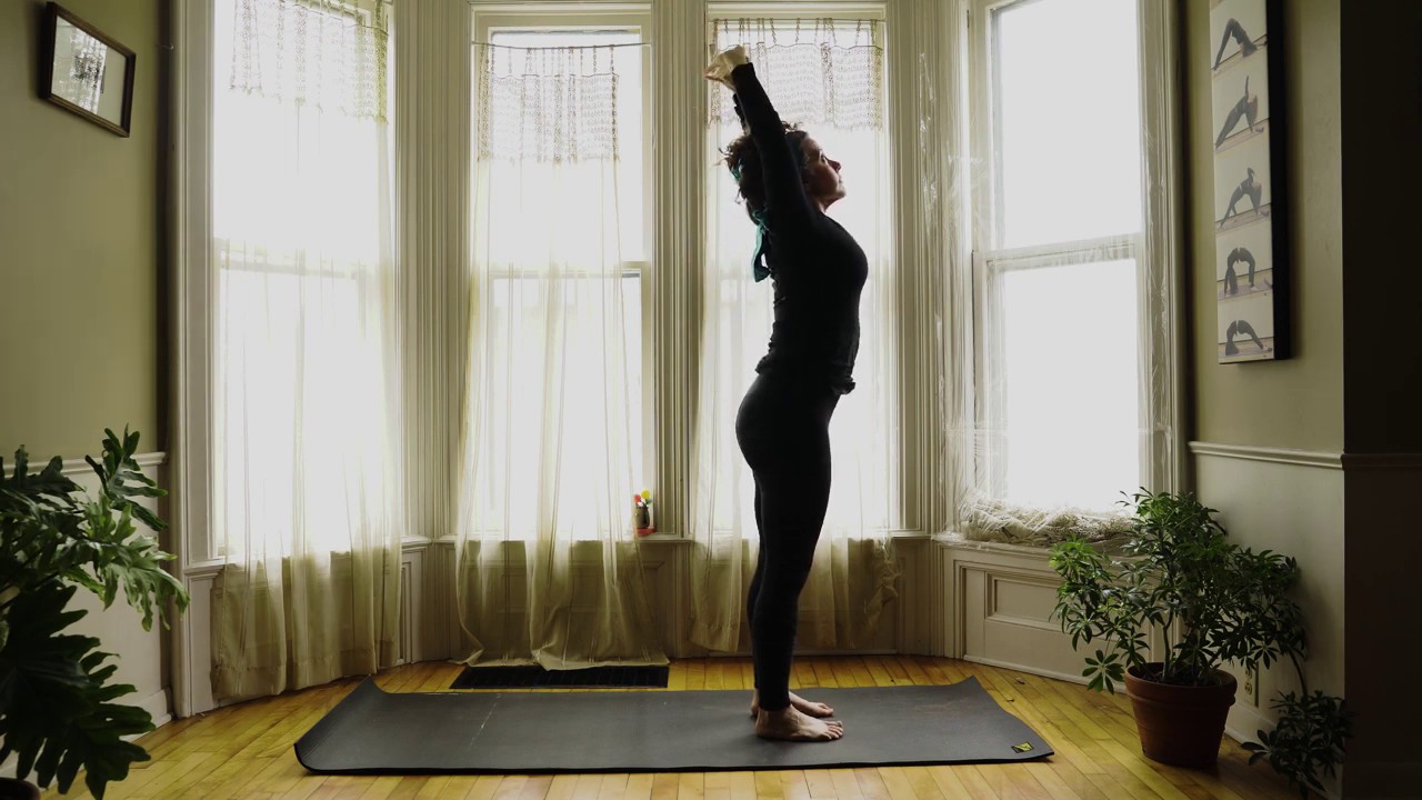 Yoga with Dara - "Are you a thermometer or a thermostat?" - YouTube