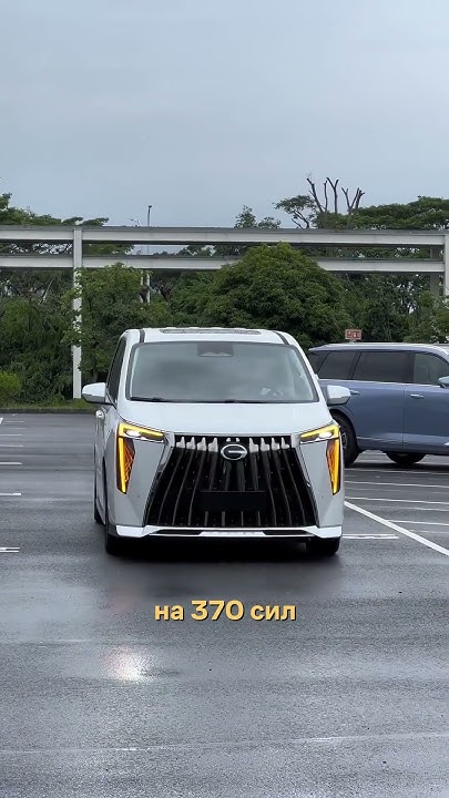 Toyota Alphard под санкциями Youtube