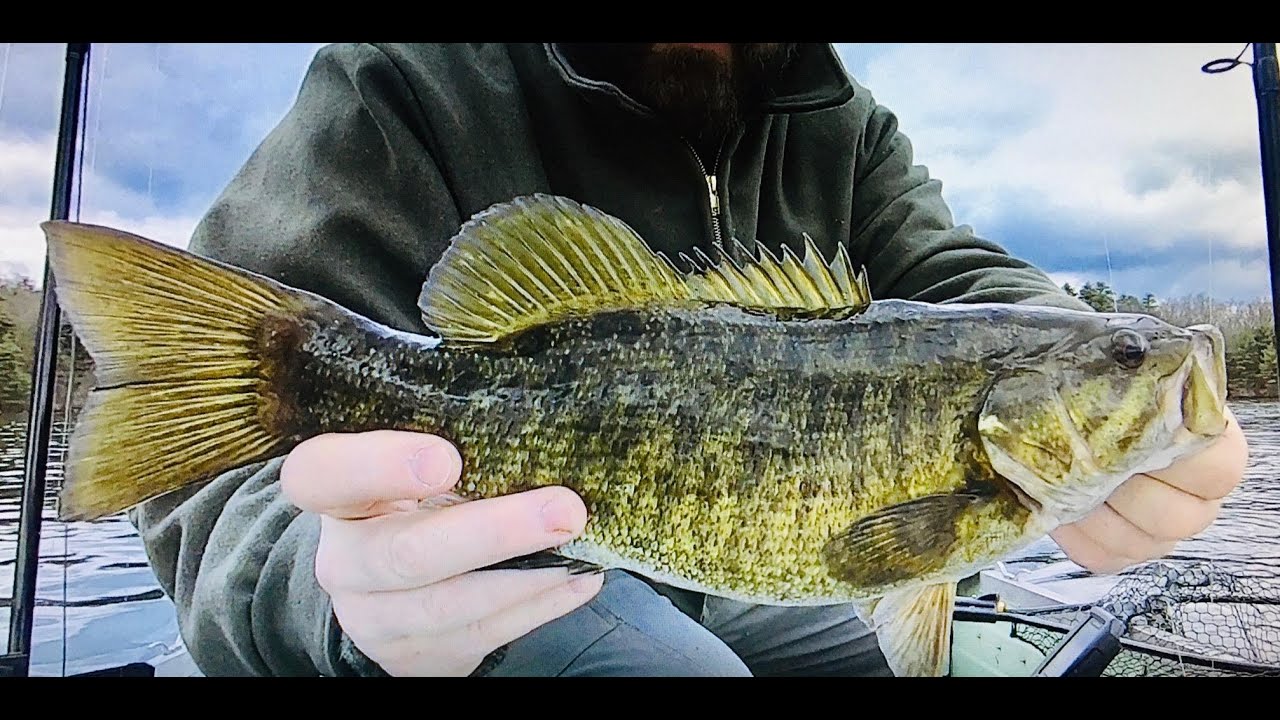 Quabbin/Opening Day! 2024/Smallmouth, Laker, Rainbows - YouTube