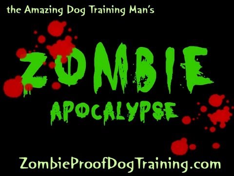 Will Your Dog Survive The Zombie Apocalypse? - YouTube