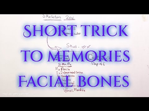 #trick to remember Facial bones - YouTube