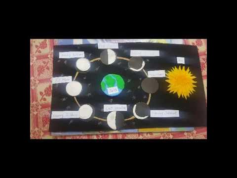 Moon Phase Science Model / How to make model and project on phases of ...