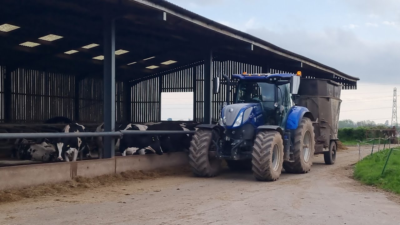 Morning dairy routine - YouTube