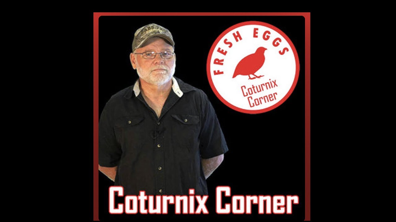 Equipment to Get you Started with Coturnix - YouTube