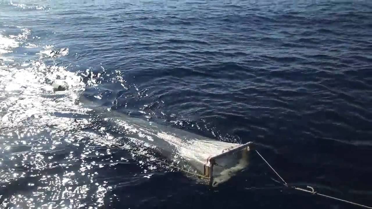 Surface Net Tow Under Sail (High Definition) - YouTube