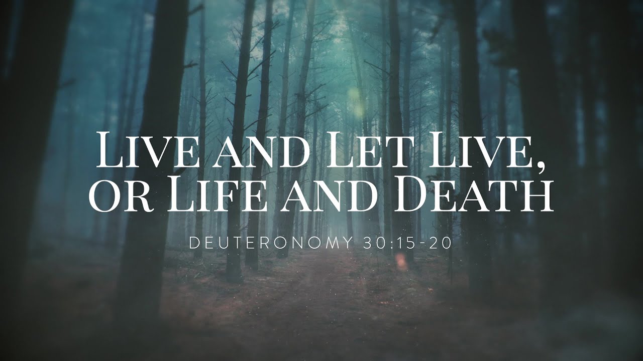 11.13.22 | Live and Let Live, or Life and Death | 6:00 PM - YouTube
