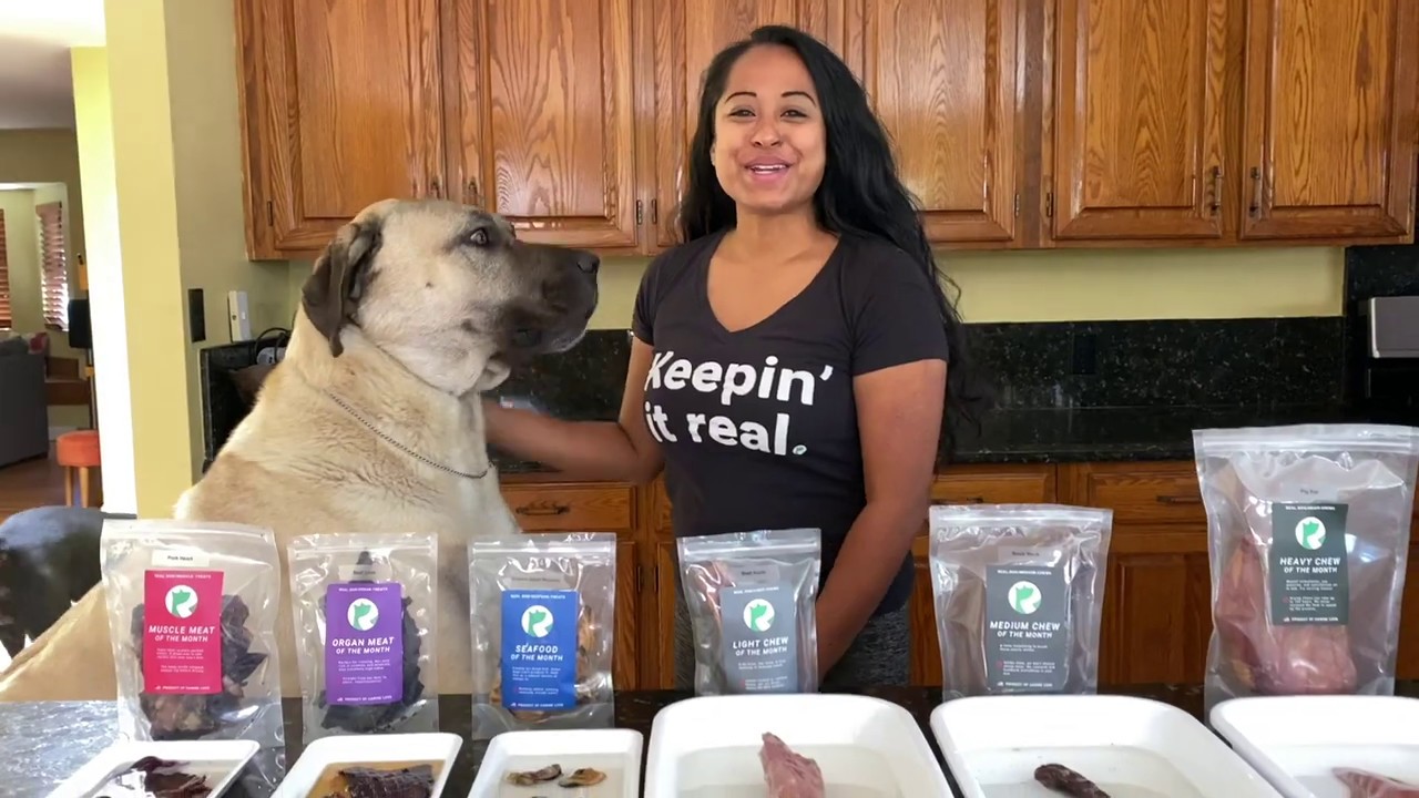 Unboxing The Latest Real Dog Box (June 15 - July 12) - YouTube