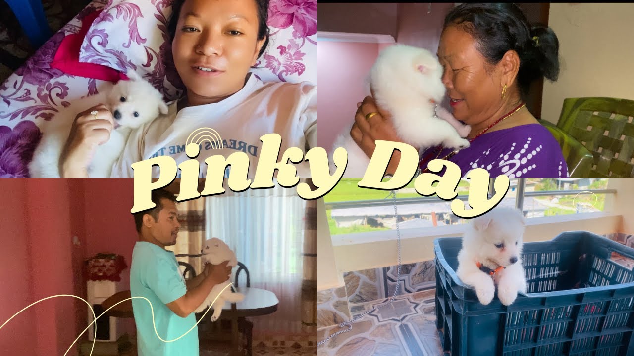 Pinky day🐶🐶our new duty guys😊😊 - YouTube